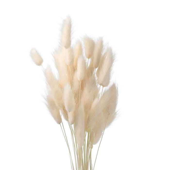 BUNNY TAILS - Fiorentino-Ανθοπωλείο Θεσσαλονίκη-Αθήνα